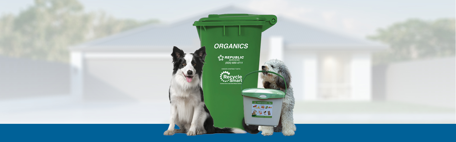 We Don't Trash Food. We Throw Food Scraps In The Green Cart. - RecycleSmart